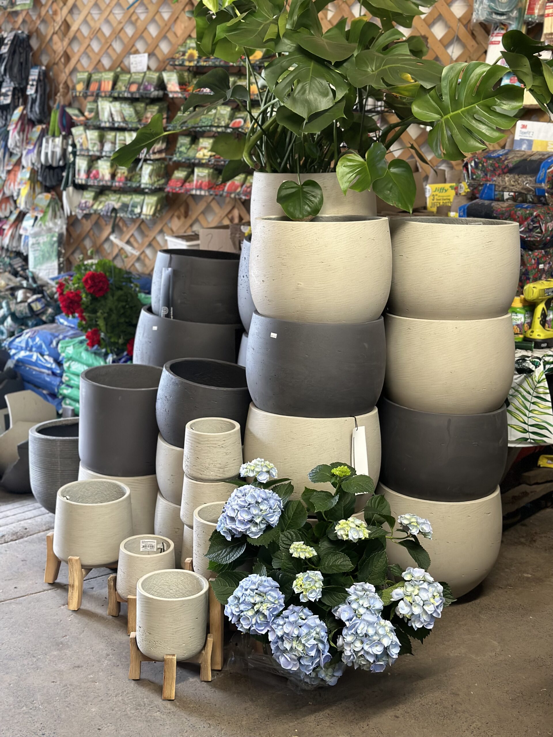 Home - Ricky's Flower Market